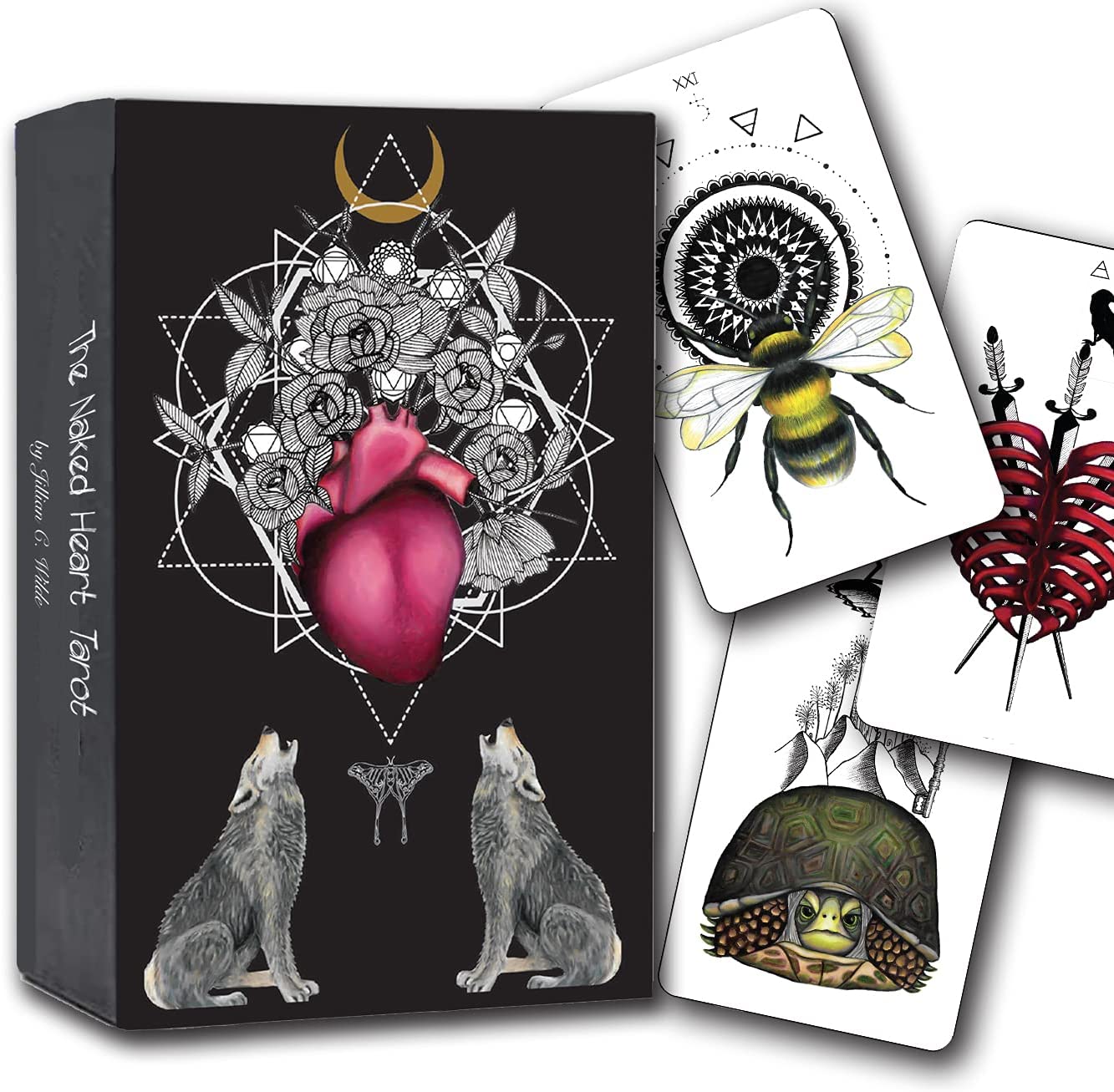 17 Spectacular Tarot Decks Every Tarot Lover Should See - Gifts for ...